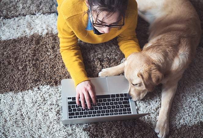 What Is a Sniffer and How to Protect Against Sniffing?