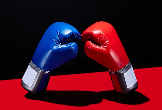 Computer Worm vs. Virus: Differences & Similarities