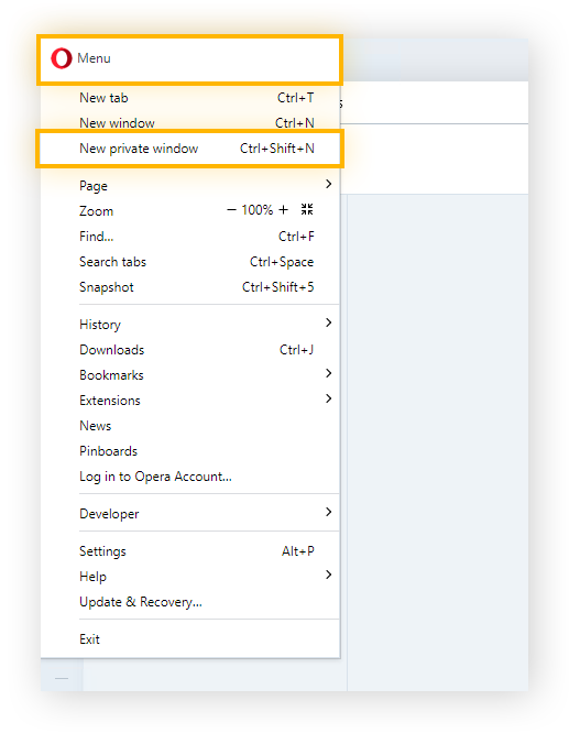 What Is Private Browsing & How to Use It on Any Browser